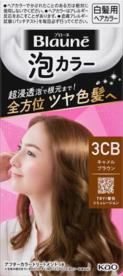 楽天市場】花王 ブローネ 泡カラー 3CB キャメルブラウン 108ml | 価格