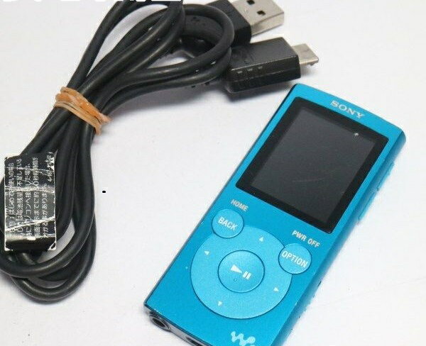 【楽天市場】ソニーグループ SONY ウォークマン Eシリーズ NW-E062(L) | 価格比較 - 商品価格ナビ
