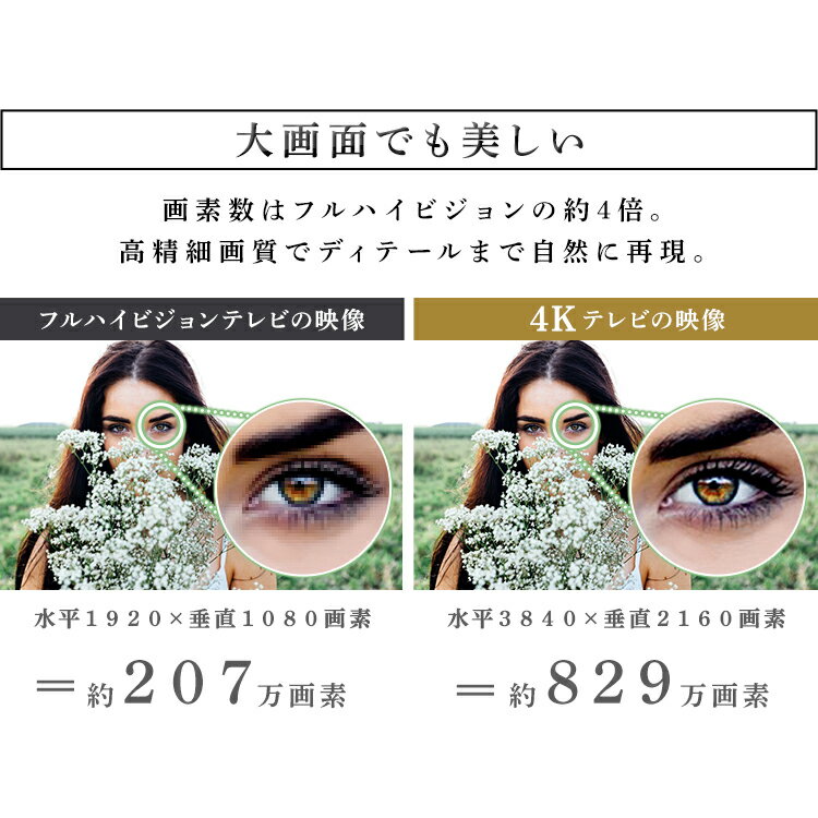楽天市場】アイリスオーヤマ アイリスオーヤマ IRIS OHYAMA 50型 楽天市場】アイリスオーヤマ アイリスオーヤマ IRIS OHYAMA 50型