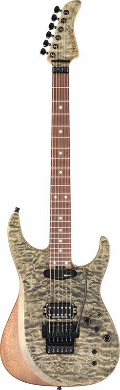 【楽天市場】フェルナンデス Fernandes FR-ELT SUS LED Charcoal Gray Satin | 価格比較 - 商品価格ナビ