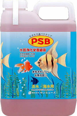 【楽天市場】サンミューズ PSB 2.1L | 価格比較 - 商品価格ナビ