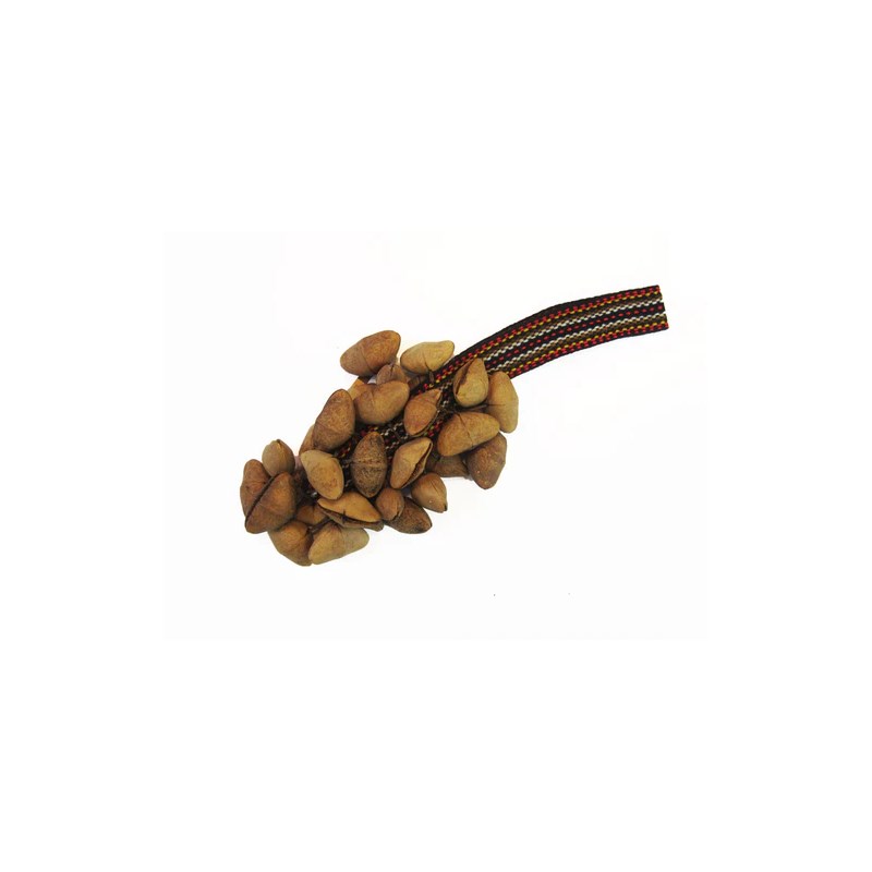 【楽天市場】ラティーノ TG-L01 セミーヤ TELLO | 価格比較 - 商品価格ナビ