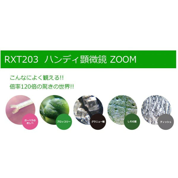 【楽天市場】レイメイ藤井 ハンディ顕微鏡ZOOM ピンク RXT203P | 価格比較 - 商品価格ナビ