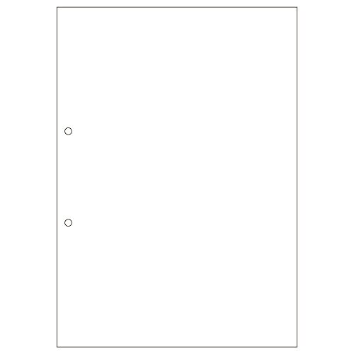 【楽天市場】ヒサゴ HISAGO FSC（R）認証 マルチプリンタ帳票 A4 白紙 2穴 FSC2001 | 価格比較 - 商品価格ナビ