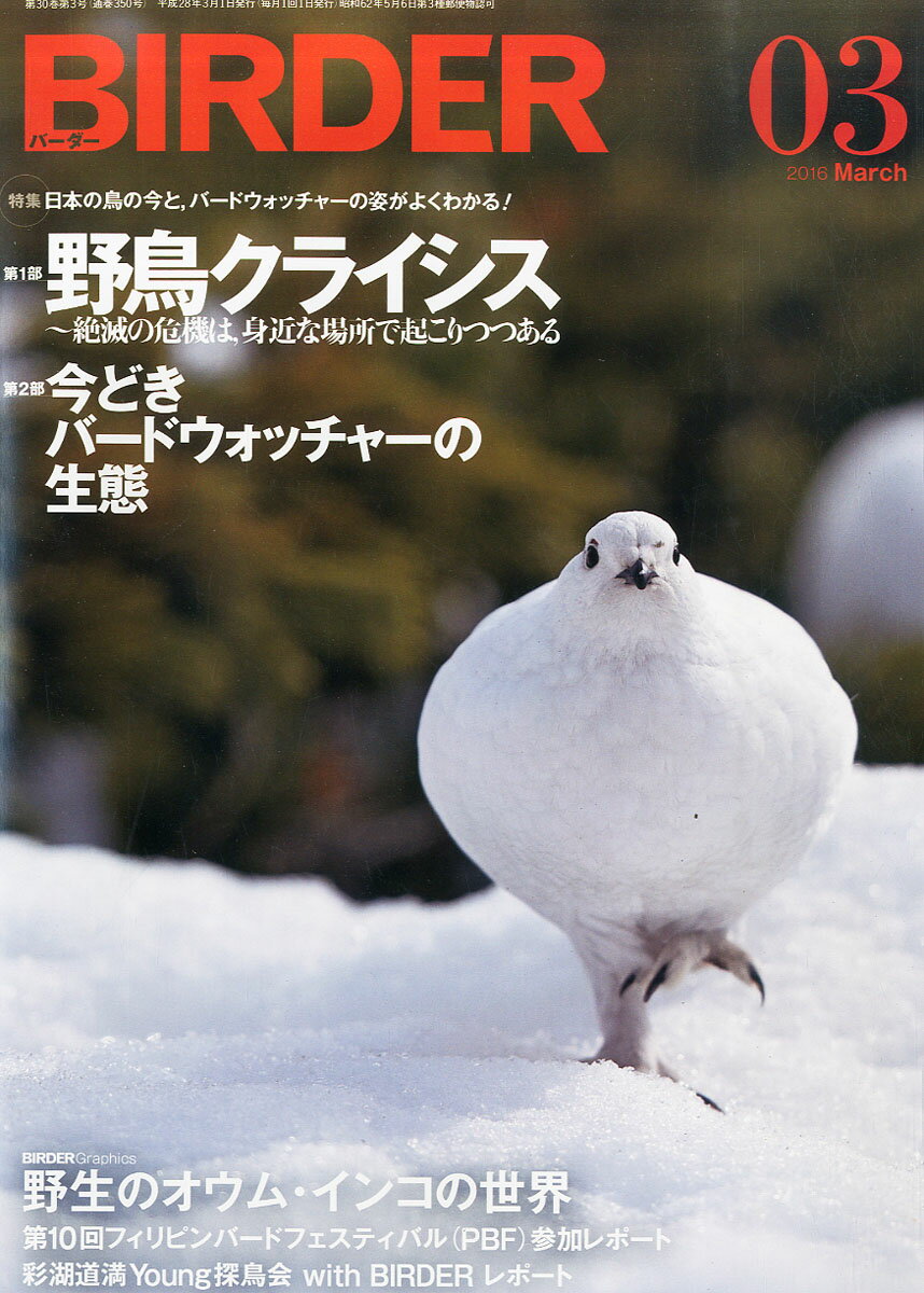 【楽天市場】birder バーダー 2016年 03月号 [雑誌] 文一総合出版 価格比較 商品価格ナビ