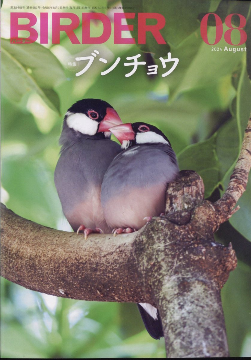 【楽天市場】birder バーダー 2024年 08月号 [雑誌] 文一総合出版 価格比較 商品価格ナビ
