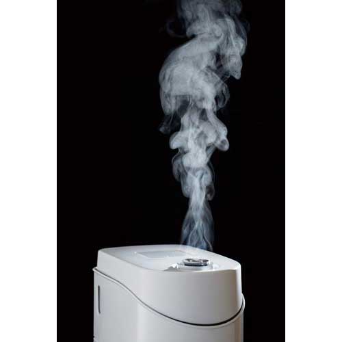 【楽天市場】ツインバード TWINBIRD スチーム式パーソナル加湿器 SK-E961W | 価格比較 - 商品価格ナビ