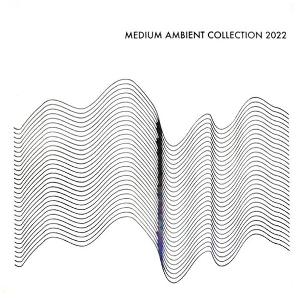 【楽天市場】ディスクユニオン MEDIUM AMBIENT COLLECTION 2022/CD/MECD-004 | 価格比較 - 商品価格ナビ