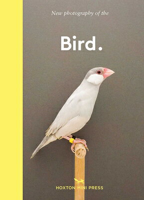 【楽天市場】BIRD.THE BEST NEW PHOTOGRAPHS OF BIRDS(H/TURNAROUND PUBLISHER ...