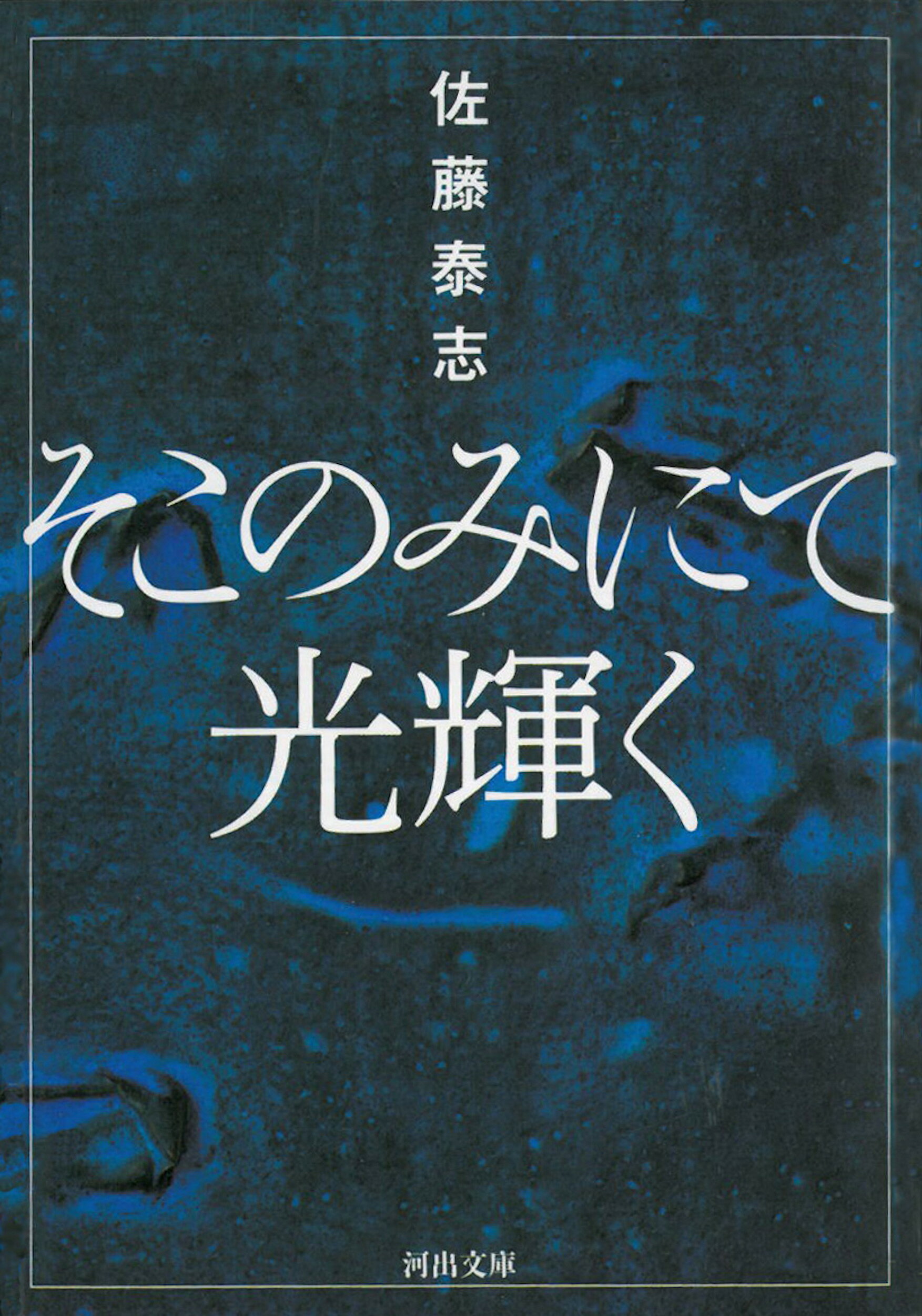【楽天市場】河出書房新社 そこのみにて光輝く 河出書房新社 佐藤泰志 価格比較 商品価格ナビ