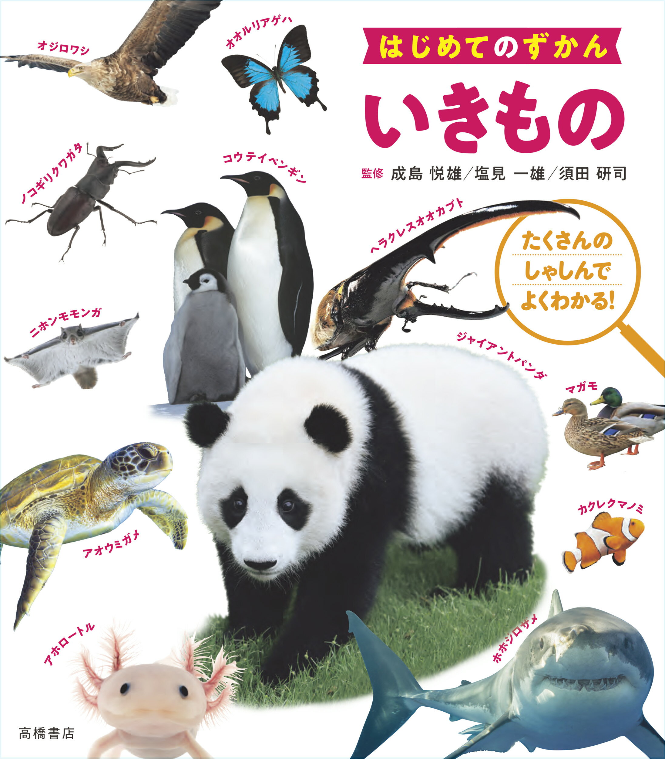 【楽天市場】高橋書店 いきもの/高橋書店/成島悦雄 | 価格比較 - 商品価格ナビ