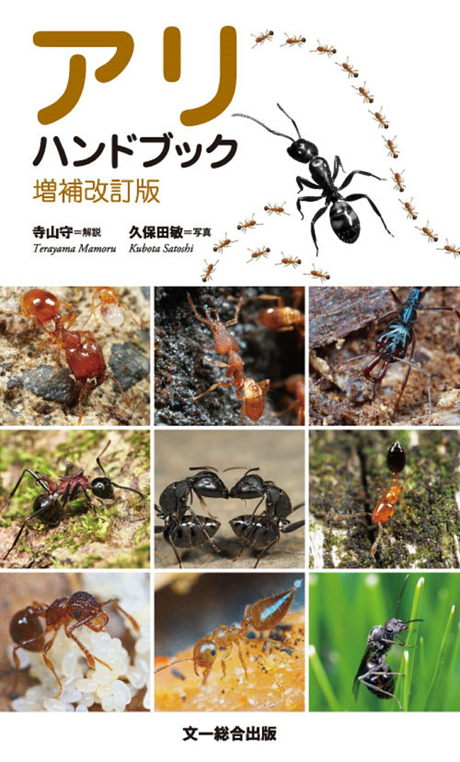 【楽天市場】文一総合出版 アリハンドブック 増補改訂版 文一総合出版 寺山守 価格比較 商品価格ナビ
