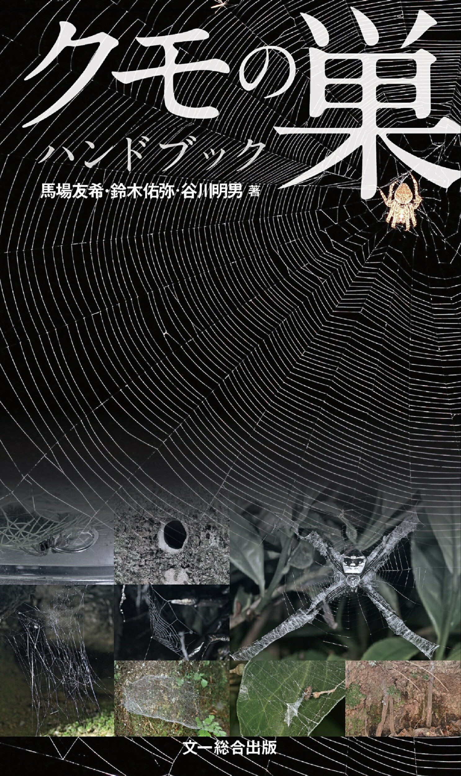【楽天市場】文一総合出版 クモの巣ハンドブック 文一総合出版 馬場友希 価格比較 商品価格ナビ