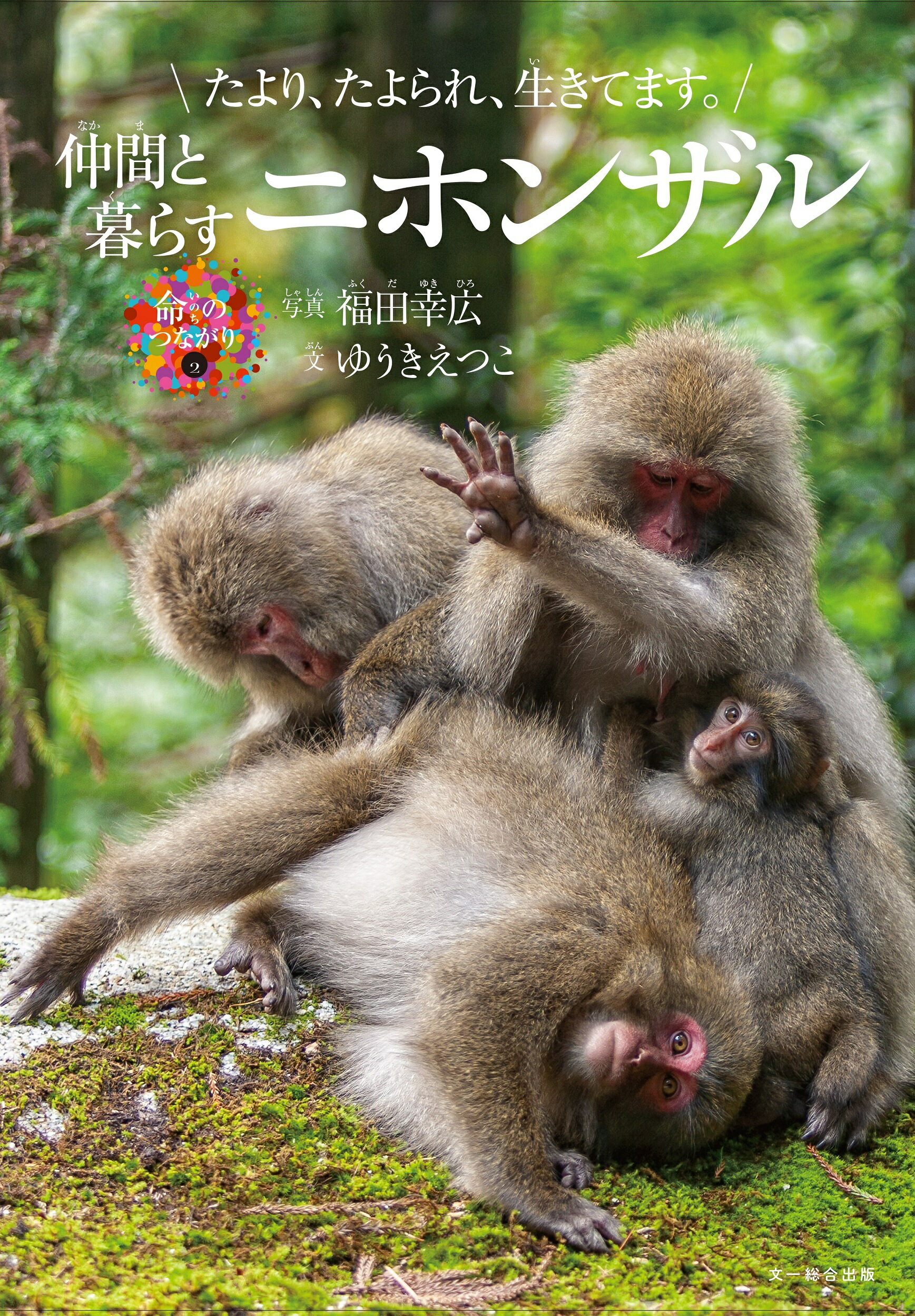 【楽天市場】文一総合出版 仲間と暮らすニホンザル たより、たよられ、生きてます。 文一総合出版 福田幸広 価格比較 商品価格ナビ